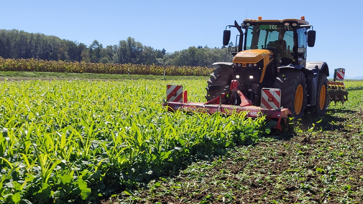 Top Cutter Solo, to reduce herbicide reliance - HE-VA UK