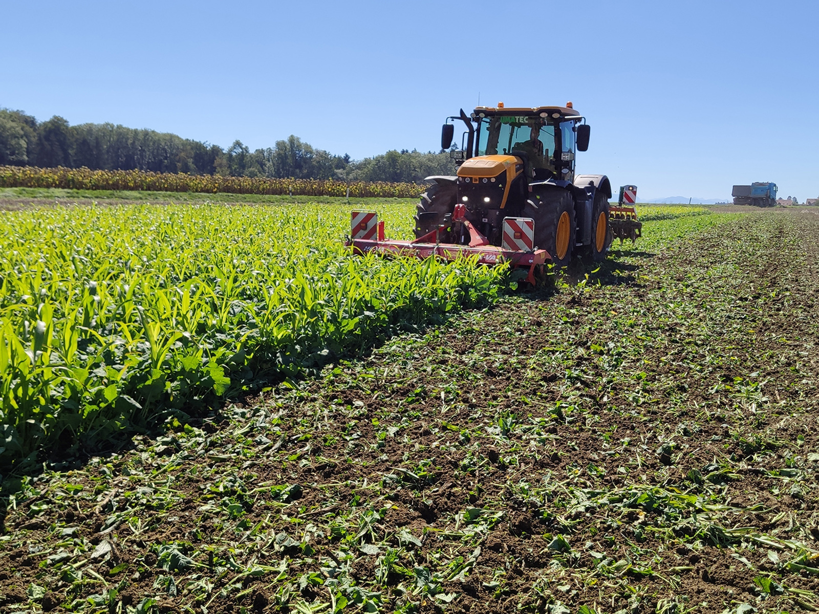 Top Cutter Solo, to reduce herbicide reliance - HE-VA UK